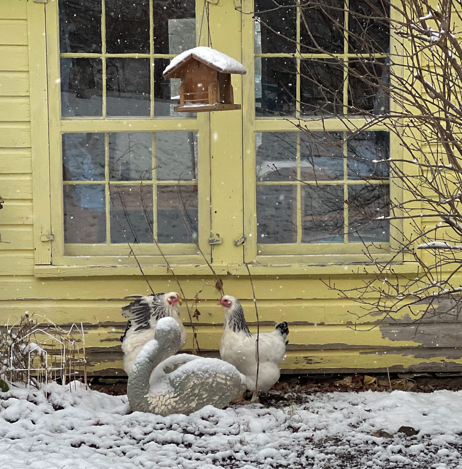 My Picture Of The Day - Fullmoonfiberart.com