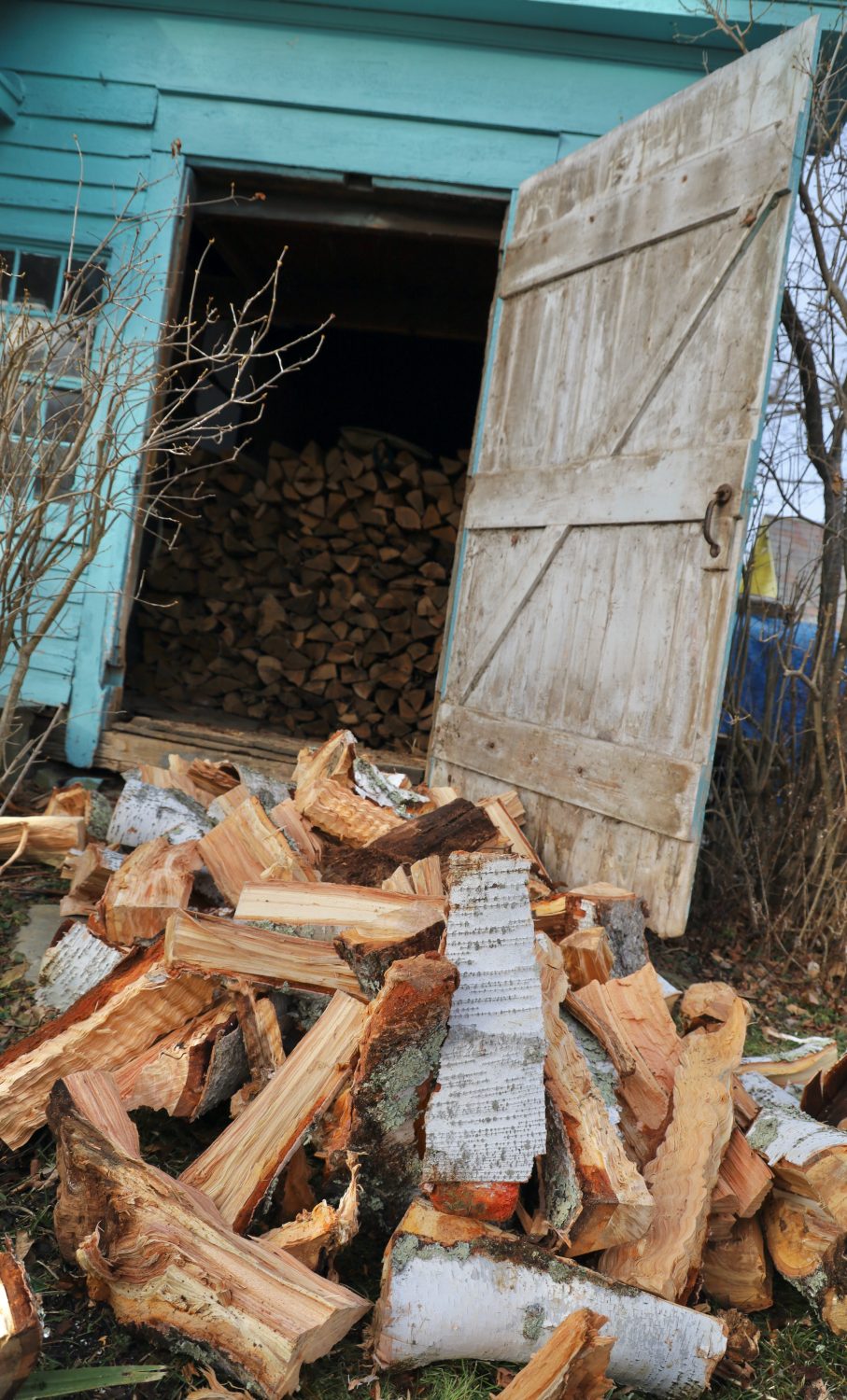 Cutting Up The Paper Birch Branch - Fullmoonfiberart.com