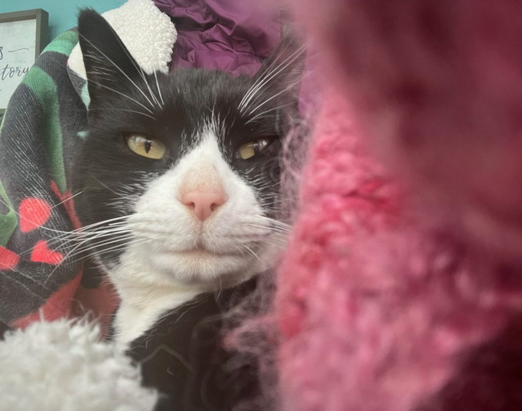 Morning Meditation... Nothingness - Fullmoonfiberart.com