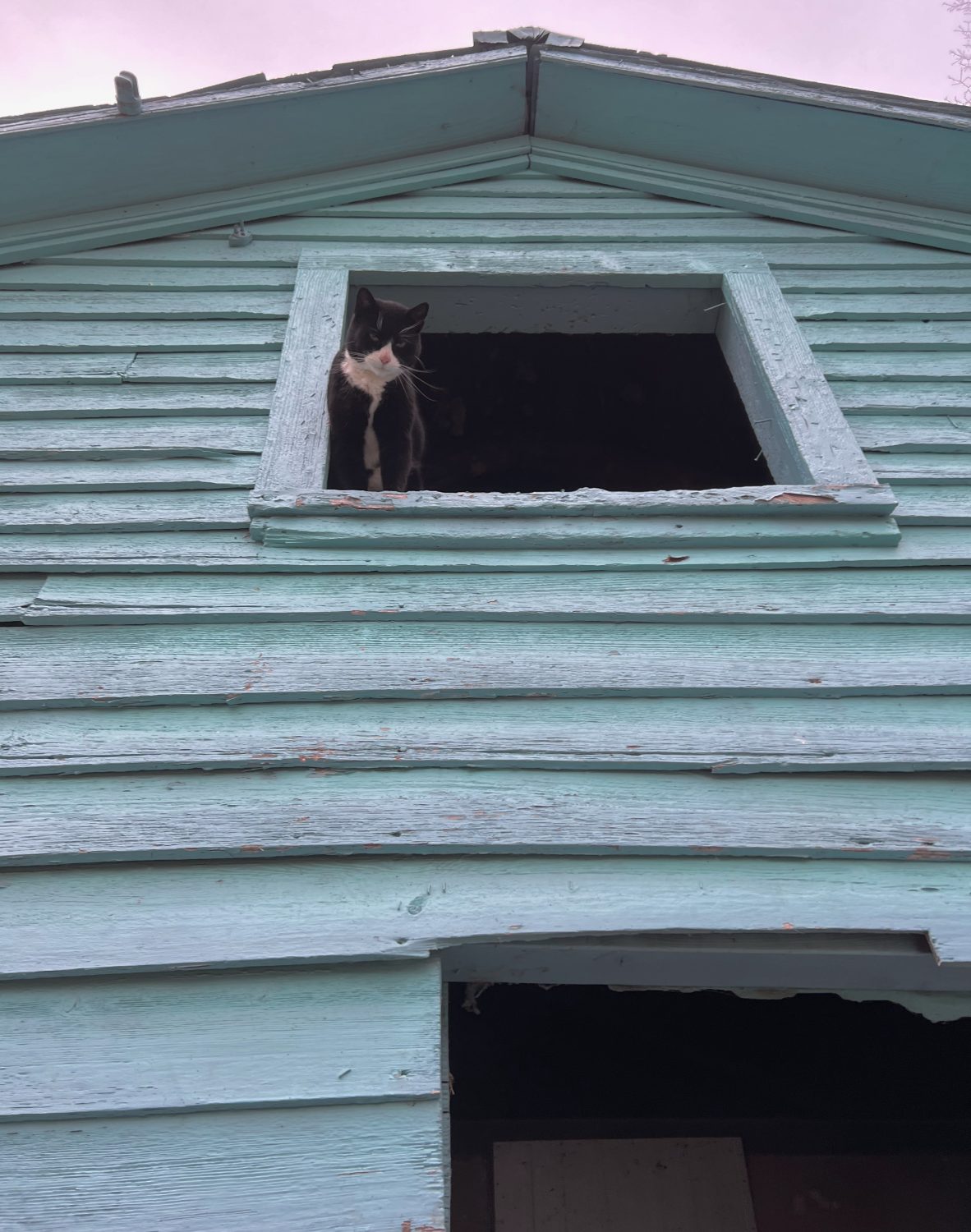 Zip In The Wood Shed - Fullmoonfiberart.com